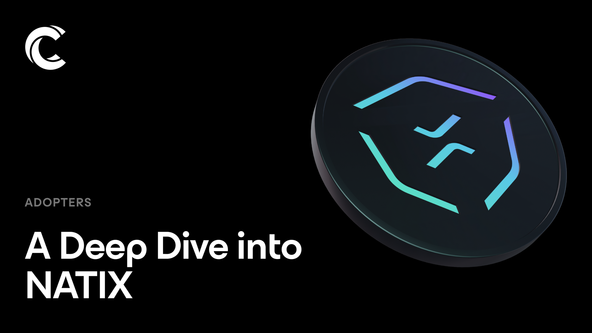 A Deep Dive into NATIX