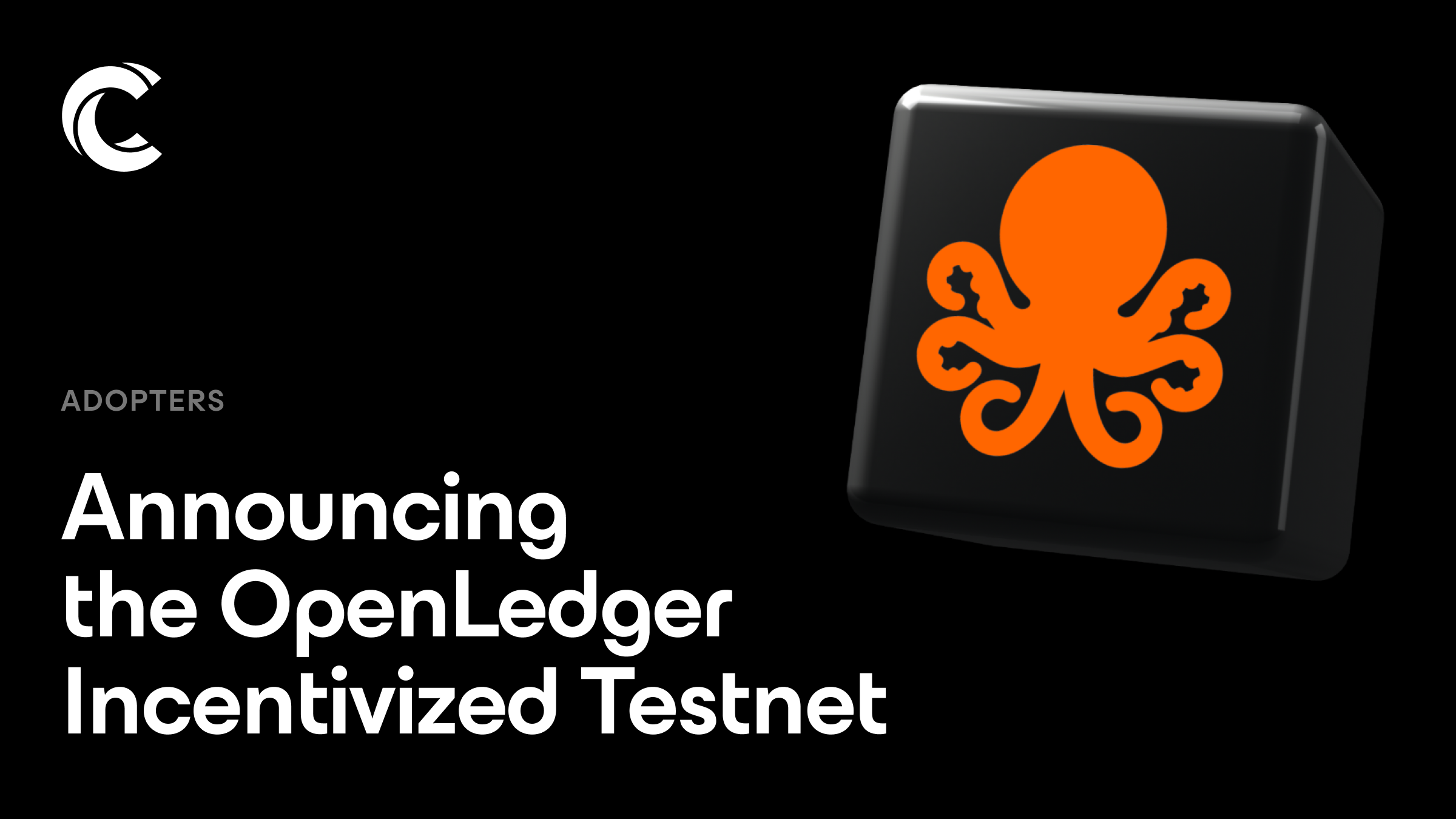 Announcing the OpenLedger Incentivized Testnet